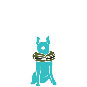 Comfy Collars – Post Surgical Inflatable Collar