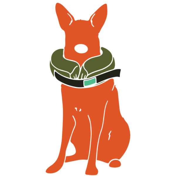 Comfy Collars – Post Surgical Inflatable Collar